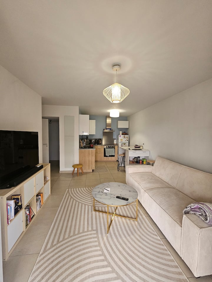 Joli Appartement Proche Douane - Annemasse