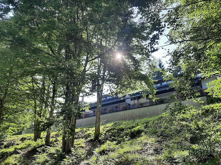 Giusy Appartamento In Montagna Piancavallo Aviano - Piancavallo