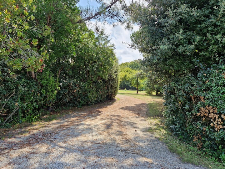 Soulac En Famille Ou Entre Amis 
Maison Spacieuse - Soulac-sur-Mer