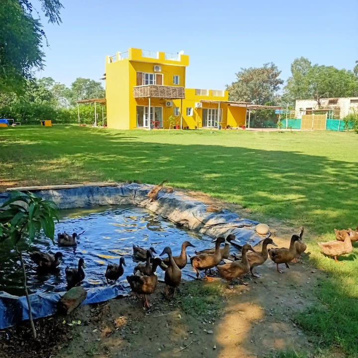 Fhs Farm Villa With Plunge Pool, New Chandigarh - Baddi