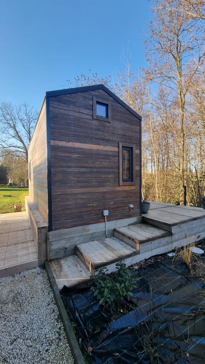 Tiny Birds - Soignies