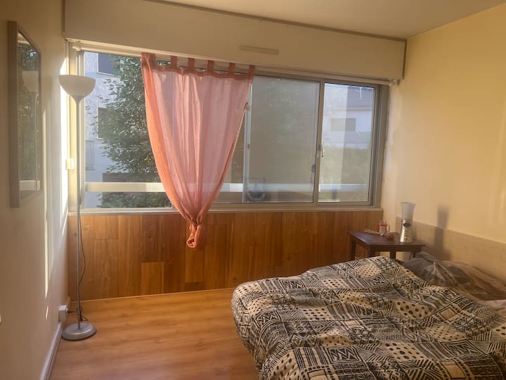 Appartement Ensoleillé Et Calme Avec Balcon - Mende