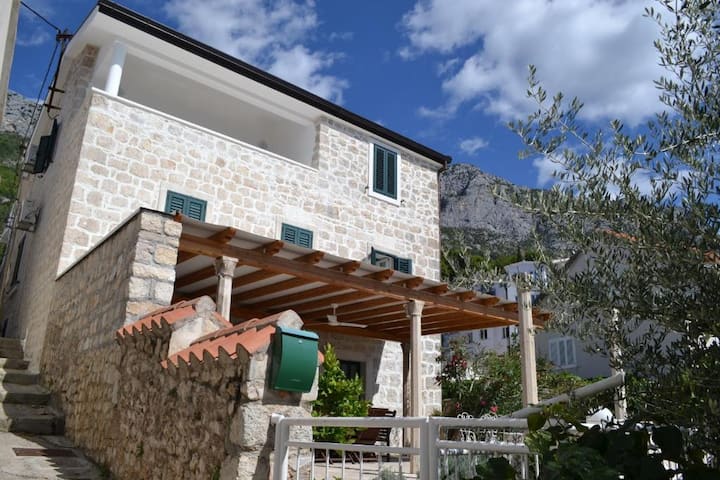 Apatrman Studio Brist - Podaca