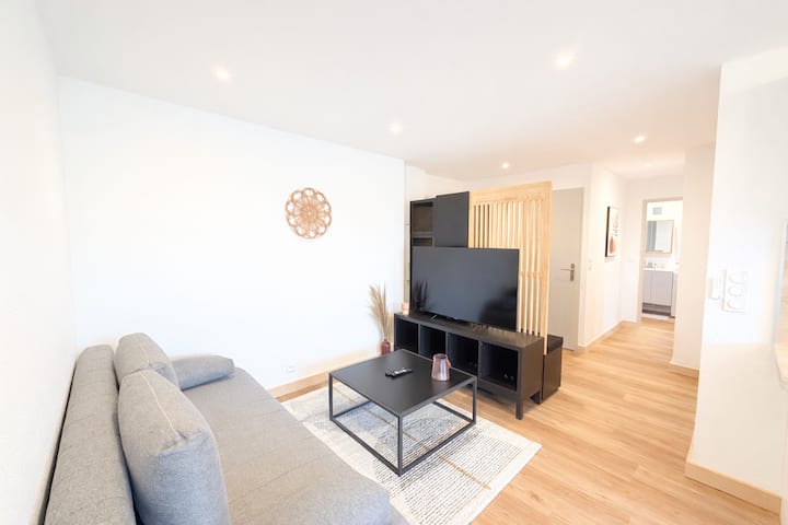 M015 Superbe T3 Centre Ville Annemasse - Annemasse