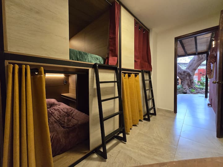 Tonalli Mix Room / Tree House / Center - Oaxaca