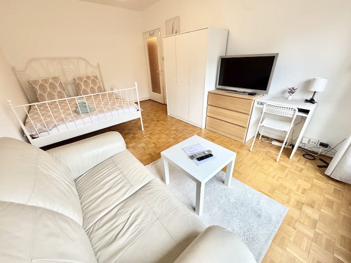 Sunny Studio Facing Eaux-vives Station - Carouge