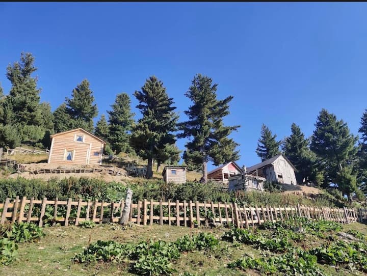 Cozy Guesthouse With Stunning Kolata Mountain View - Valbona