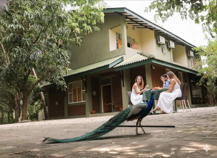 Wecay Holidays Habarana - スリランカ