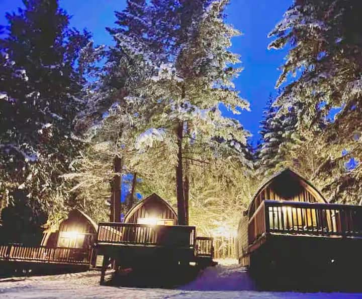 Cozy Cabin 2 - Sicamous