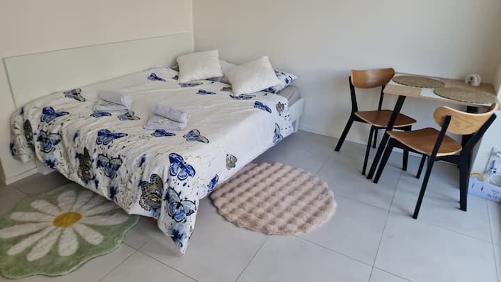 Apartment Brno Centrum Koliste 65a Komforta - Brno