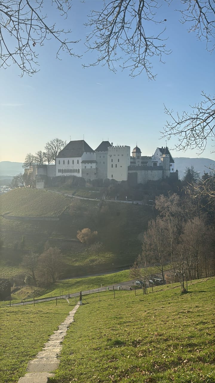 Stilvolle Stadtresidenz Mit Garten & Schlossblick - Aarau