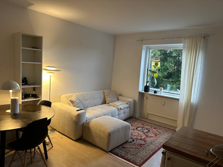 Apartment In Frederiksberg + 2 Free Bikes - Copenhague