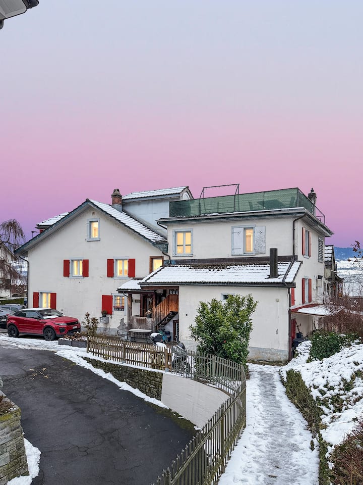 House On Lake Zurich Promenade - Rapperswil-Jona