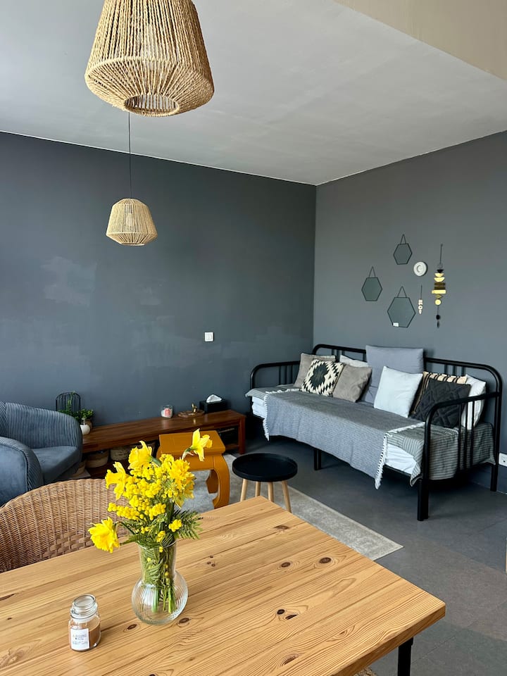 Charmant Studio Vue Mer - Plage à Pied - Saint-Valery-en-Caux