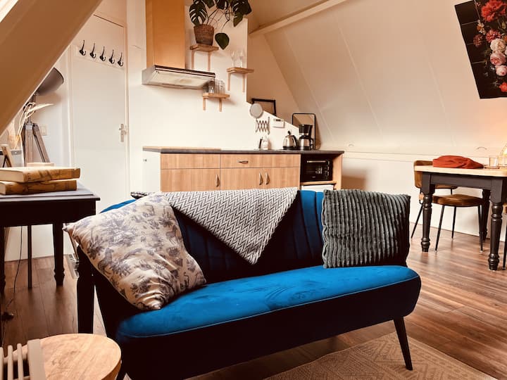 Charmante Studio Dichtbij Natuur En Treinstation - Zwolle