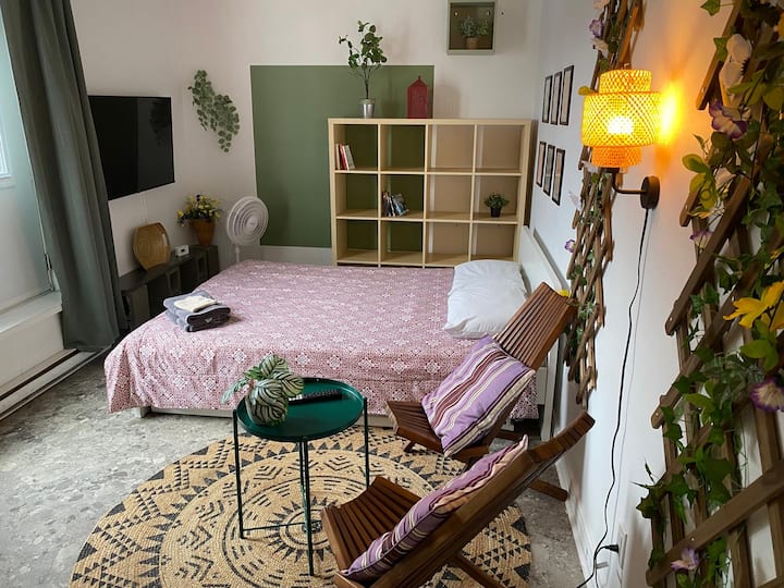 Central Studio In Le Plateau - 