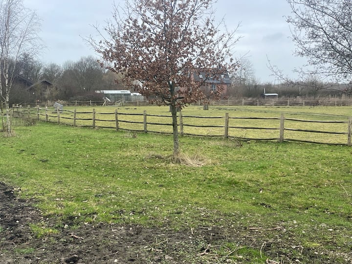 Het Groene Nest - Leida