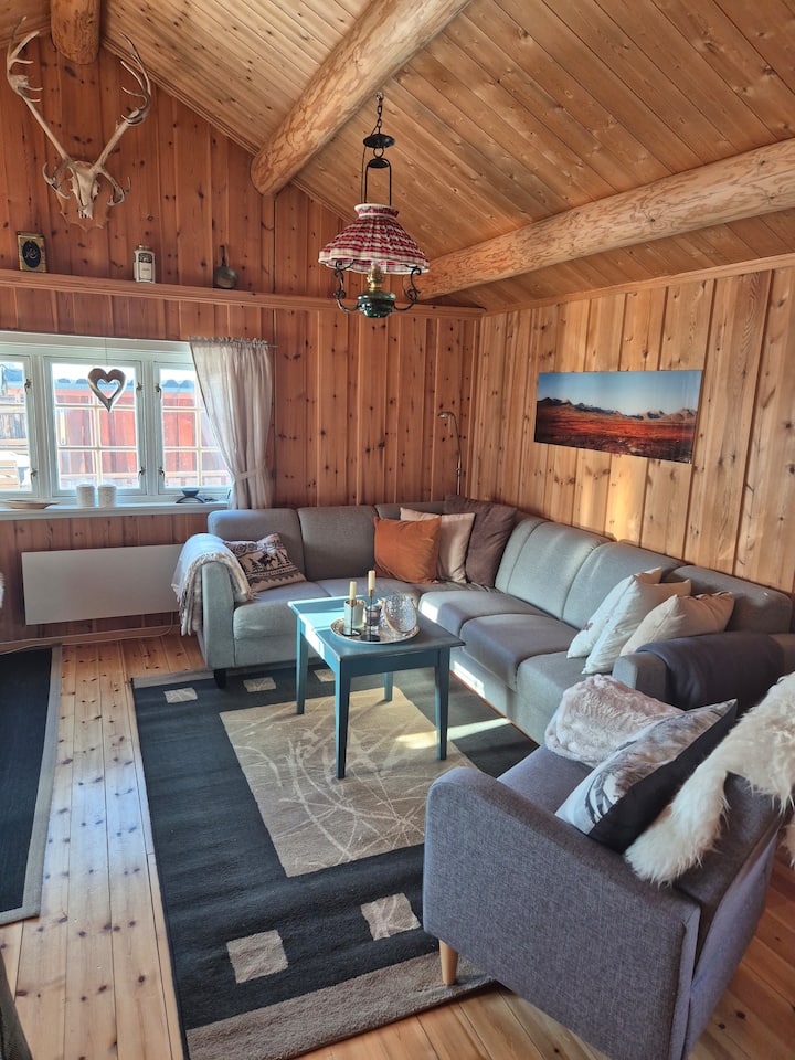 Hytte På Mysuseter Ved Rondane Nasjonalpark - Norvegia