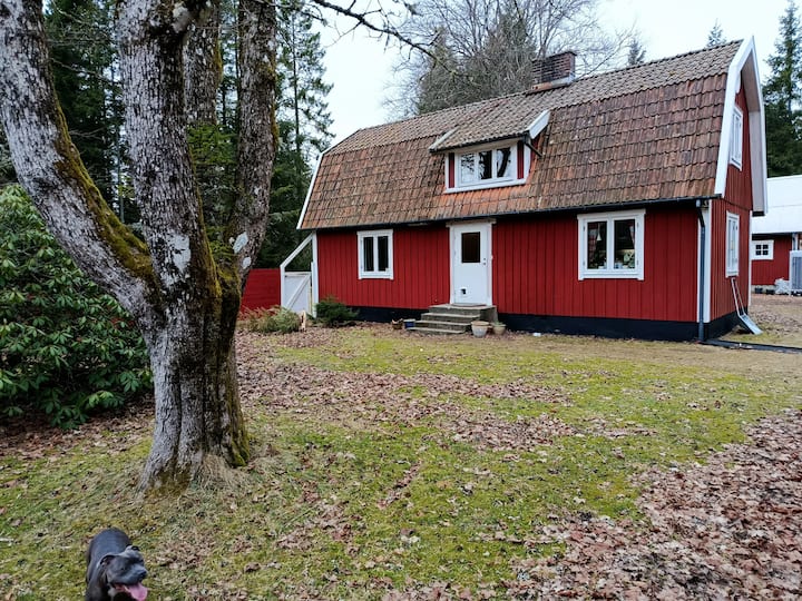 Fantastisk Beliggenhed I Skoven Uden Naboer - Markaryd