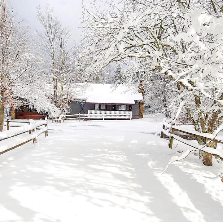 Walk To Lifts • Hot Tub • Perfect For Families - Davis, WV