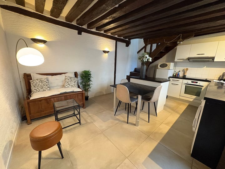 Le Pensoirs - Charmante Maisonnette Hyper Centre - Saran