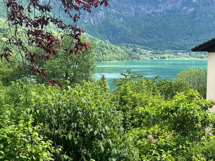 The Cosy Nest - Vue Lac D'aiguebelette - Lépin-le-Lac