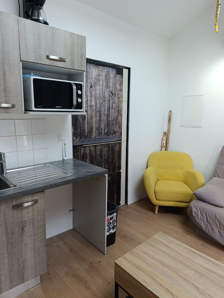 Loft De 4 à 6 Places Entre Lac Et Montagnes. - Évian-les-Bains