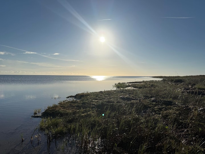 Sommerhuset, Midt I Skoven, Tæt På Vandet. - Denmark