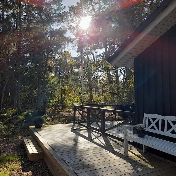 Sommerhuset, Midt I Skoven, Tæt På Vandet. - Danmark
