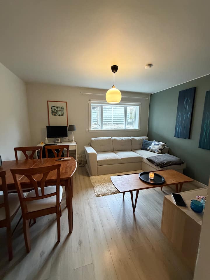 Apartment Close To City Center. - Rejkiawik