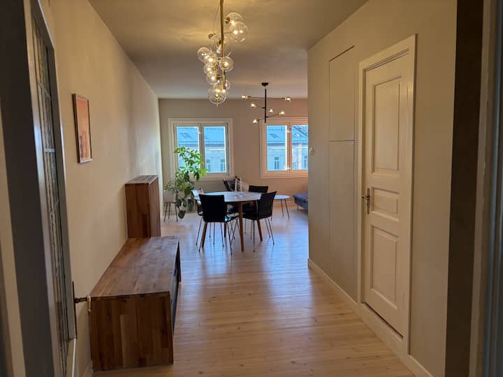 Toppleilighet På Bislett - Oslo