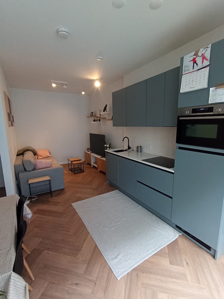 Apartment In City Center - Zaandam