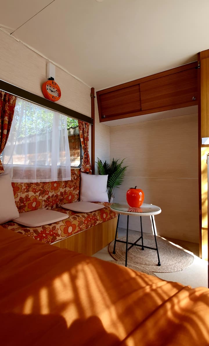 Cocon Vintage & Jardin – Proche Eurexpo / Arena - Groupama Stadium - OL