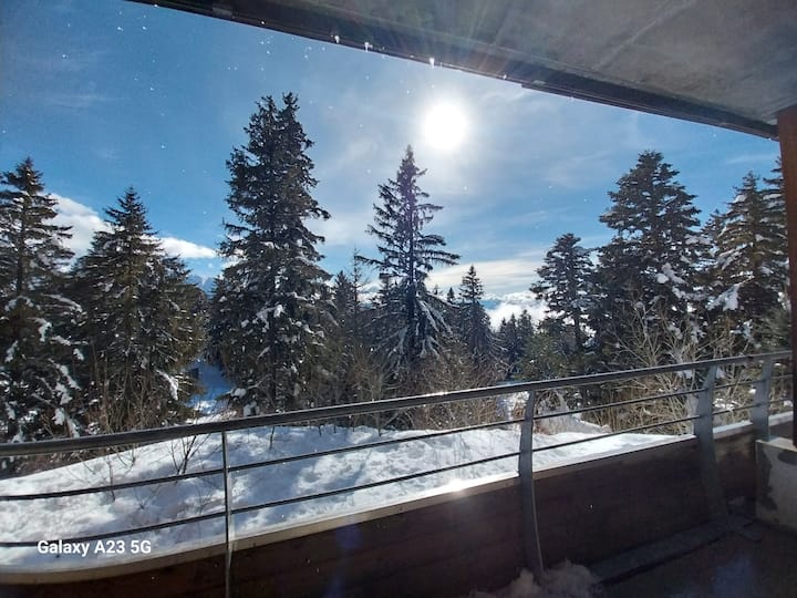 Appart 6 Pers. Pied Des Pistes "Ecrin Des Neiges" - Chamrousse