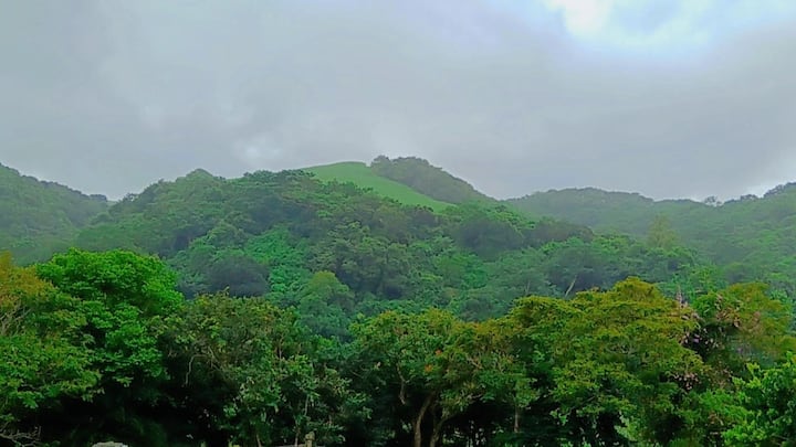 Bergsig@861 - Mtwalume