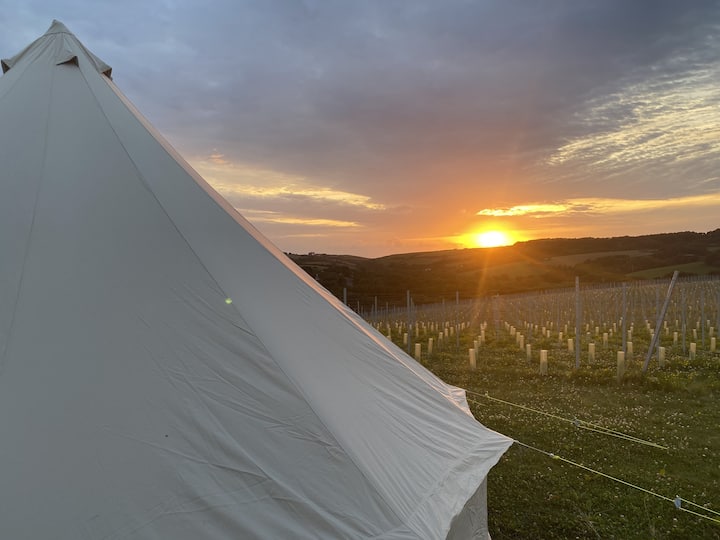 Romantic Secluded Vineyard Glamping, Sunset Views - Newquay