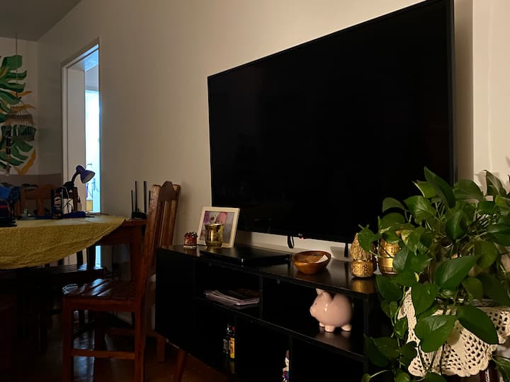 Apartamento Completo No Centro De Santa Rosa - Santa Rosa