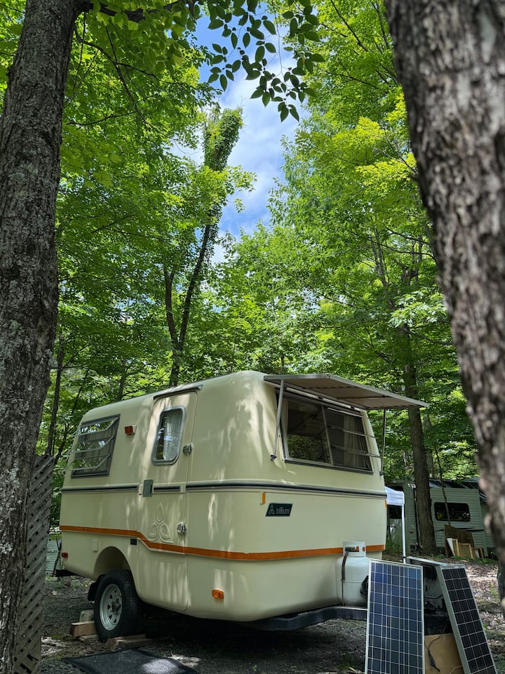 Glamping, Birding, Vintage Canadian Trillium Trl. - North Bay
