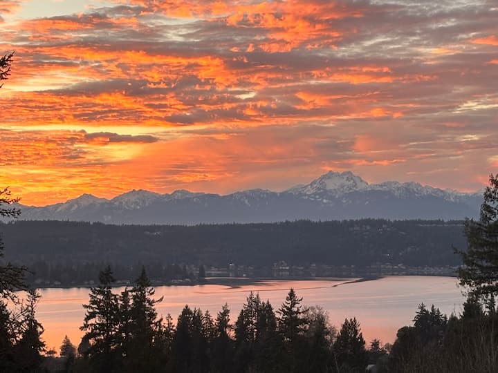 Stunning Water & Mountain View Townhouse - Pet Fri - Port Orchard, WA