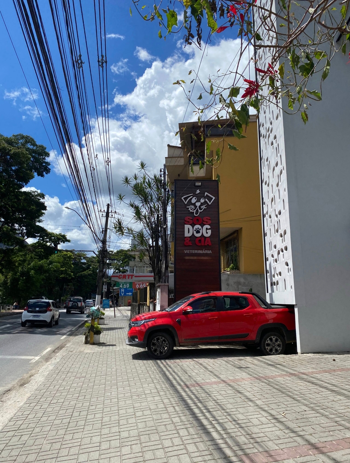 Centro De Nova Friburgo - Microcasa Caledônia - Nova Friburgo