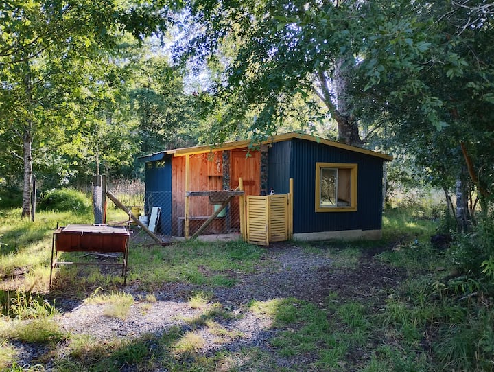Casita En El Bosque Camino A Lican Ray - Villarrica