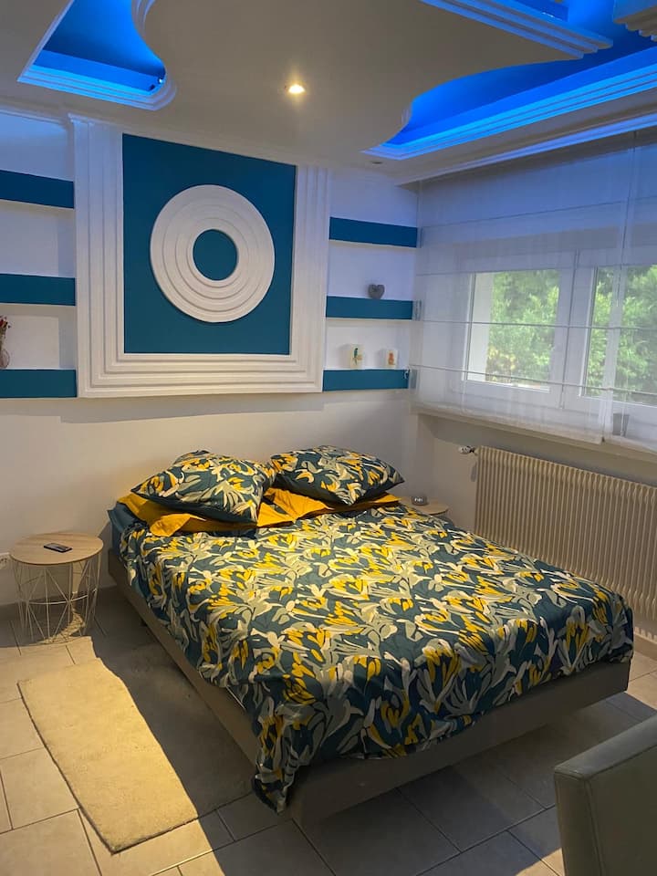 Séjour Dans Cadre Verdoyant Et Calme à Thionville - Thionville