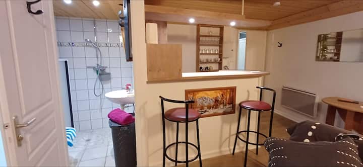 Chaleureux Studio Plein Centre D'aix Les Bains - Aix-les-Bains