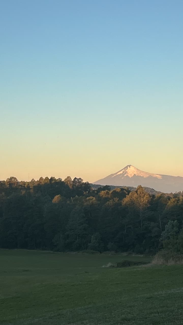 Cabaña Con Vista Panorámica Al Volcán - Puyehue