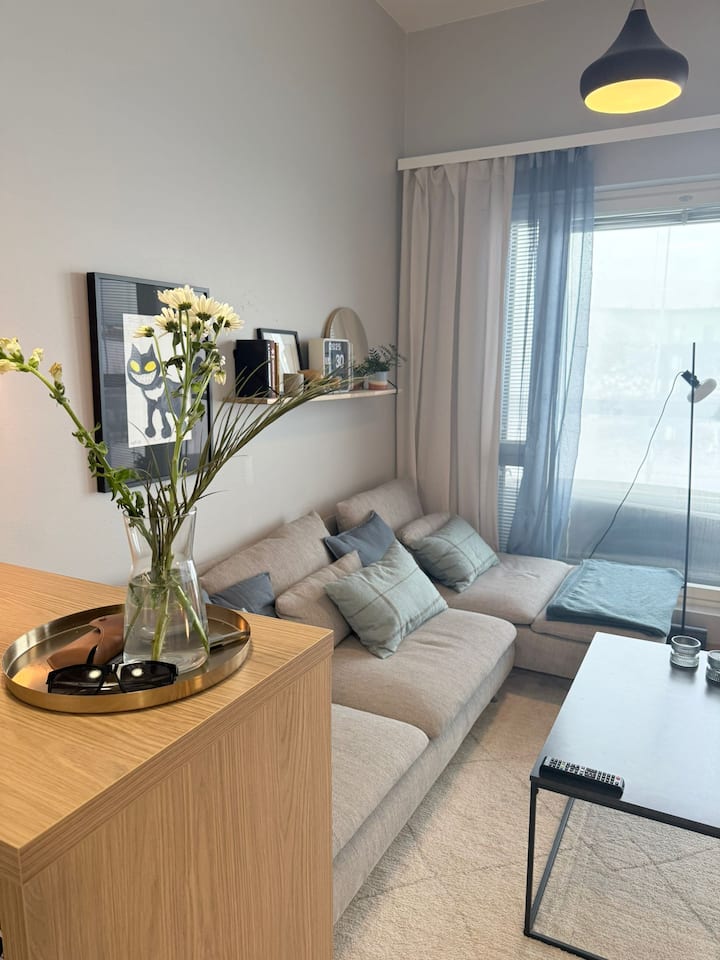 Viihtyisä Kaksio Keskustan Tuntumassa - Tampere