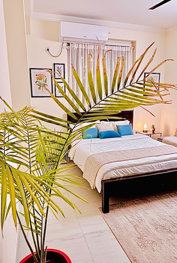 Pocket Paradise - Jodhpur