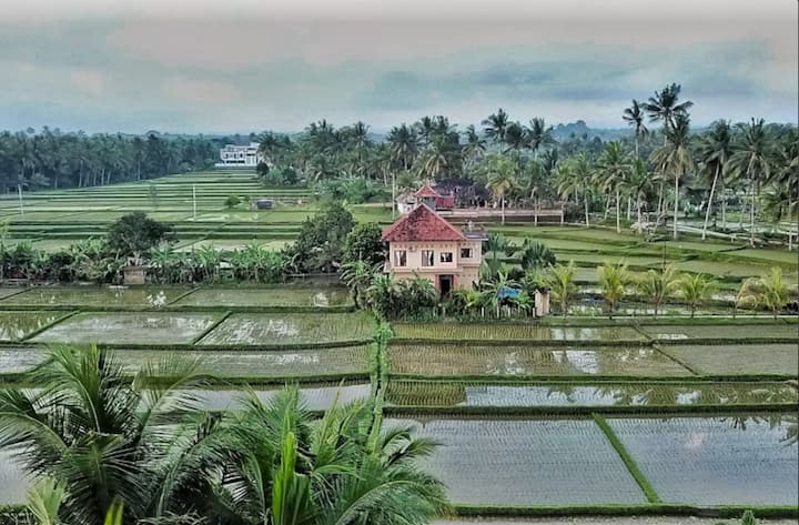 Flash Deal 50% Off April Only - Central Ubud - ウブド