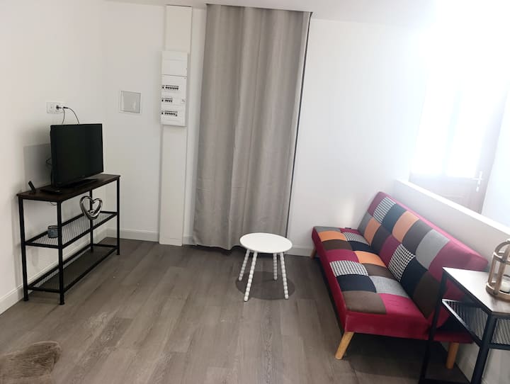 Le Cocon De Lourdes - Lourdes