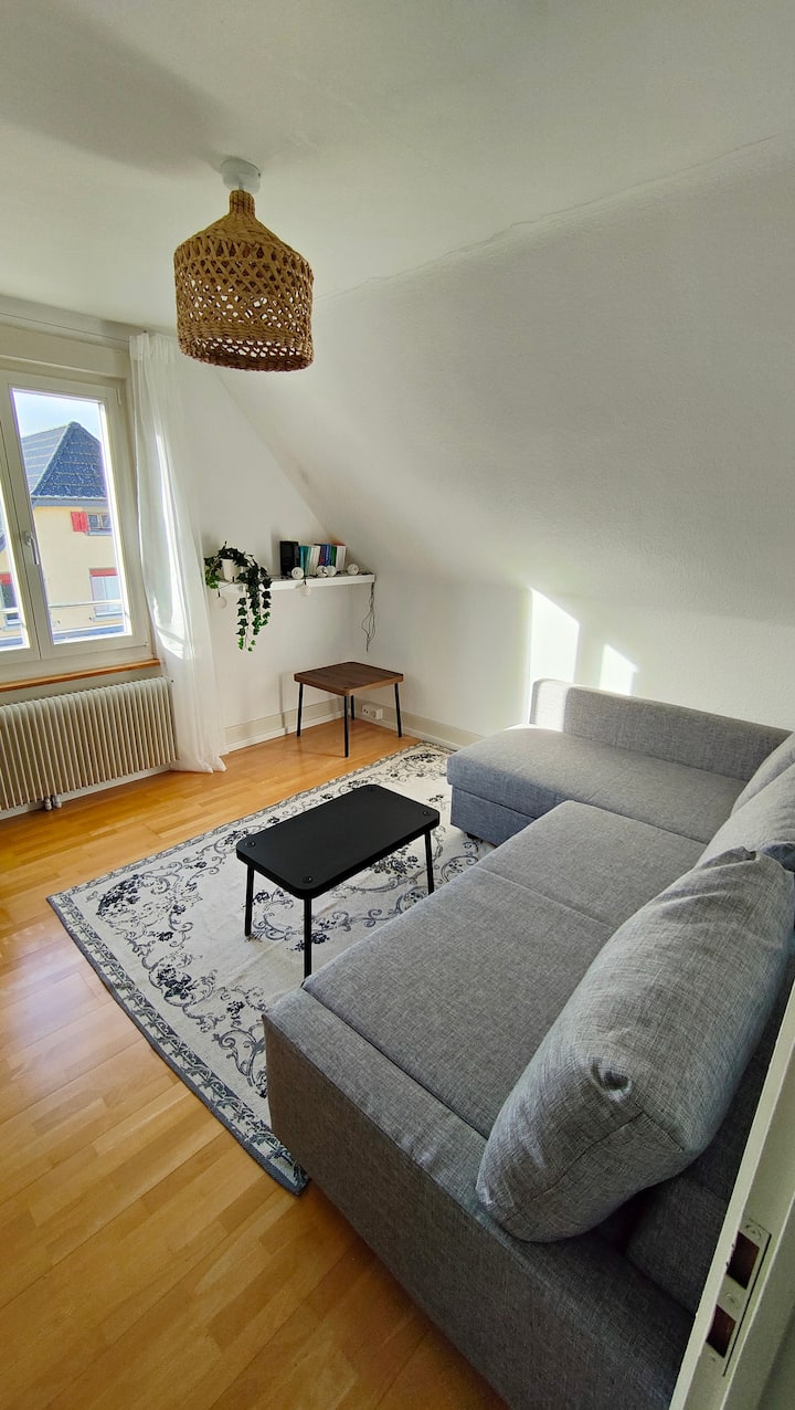 Eigene 2-zimmerwohnung, 2. Stock In Familienhaus. - Schaffhausen