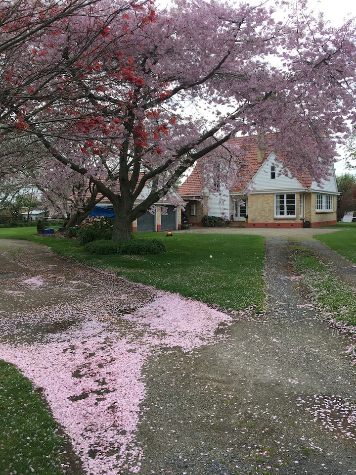 The Upstairs Bnb - Cambridge